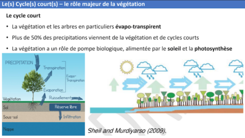 Hydrologie régénérative – Keyline Design | Permalab